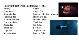 Fish Bioluminiscences and their functions | PPTX