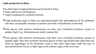 Fish Bioluminiscences and their functions | PPTX