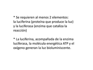 Bioluminiscencia | PPTX
