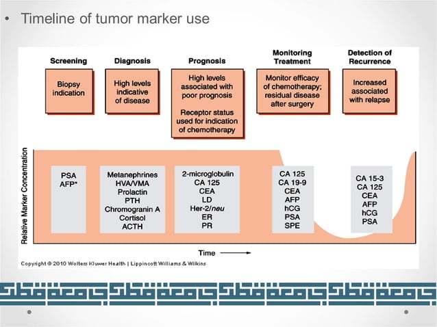 Unit 3: Cancer & Tumor Markers | PDF | Cancer | Diseases and Conditions