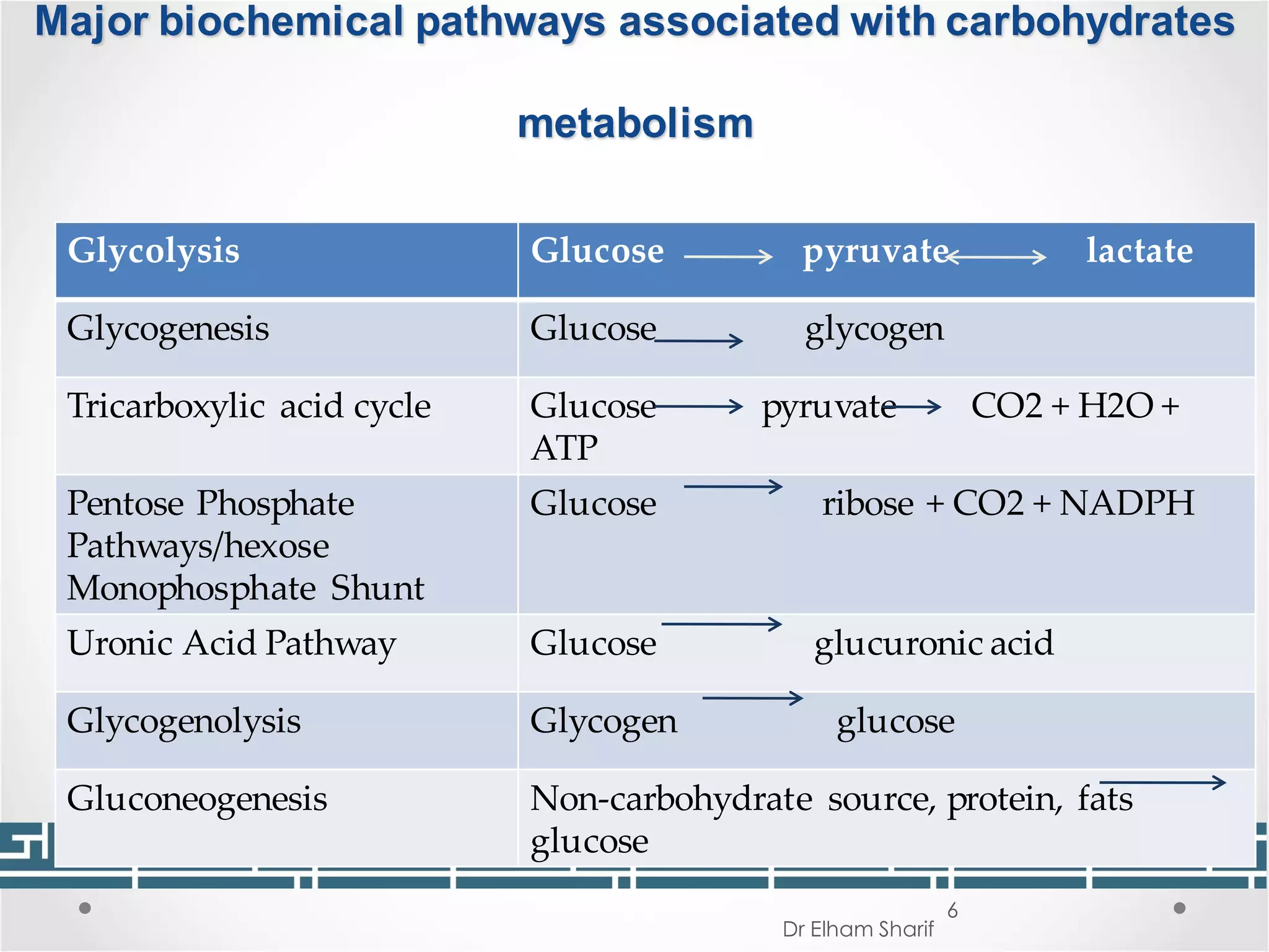 Unit 7 : Carbohydrates metabolism & disorders | PDF
