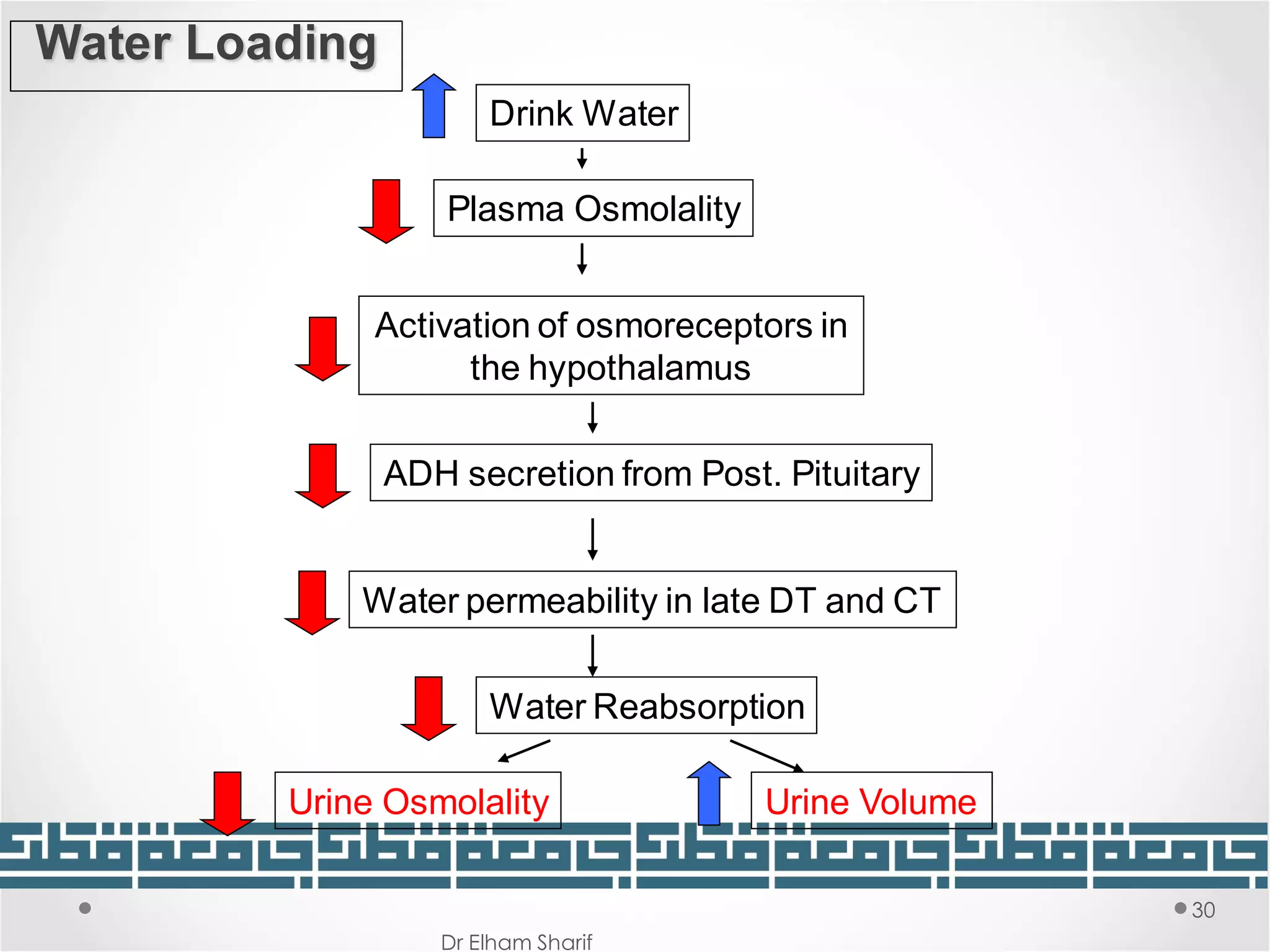 Unit 9: Critical care Analytes and Electrolytes & water balance | PDF