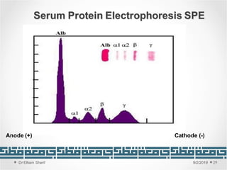 Unit 2: Proteins, abnormalities and methods of proteins investigation | PDF