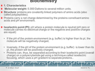 Unit 2: Proteins, abnormalities and methods of proteins investigation | PDF