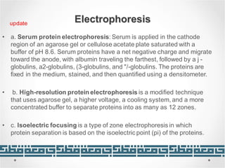 Unit 2: Proteins, abnormalities and methods of proteins investigation | PDF