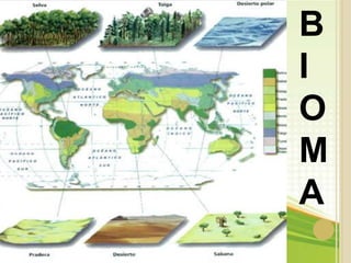 Bioma | PPTX