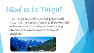 Bioma Taiga | PPTX