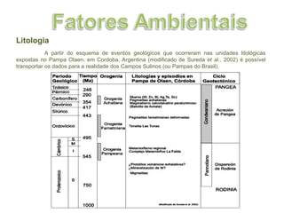 Apresentação Campos Sulinos | PPT