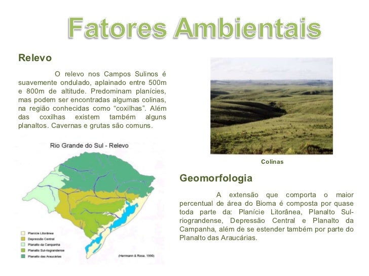 Bioma Campos Sulinos