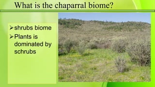 biomachaparraleng-140601210249-phpapp02.pdf