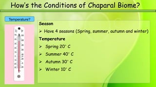 Chaparral biome | PPT | Reptiles | Pets