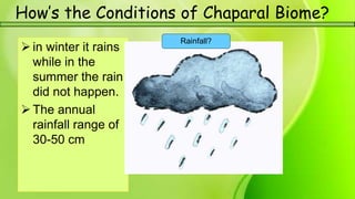 Chaparral biome | PPT | Reptiles | Pets