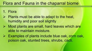 Chaparral biome | PPT | Reptiles | Pets