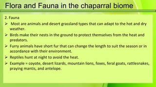 Chaparral biome | PPT | Reptiles | Pets