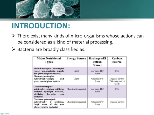 Biomachining | PPTX | Chemistry | Science