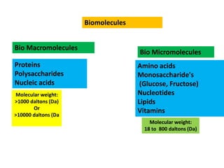 Biomacromolecules and nucleic acids | PPTX
