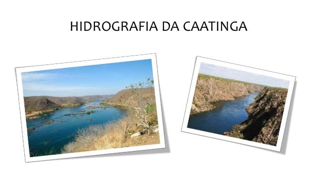 Caatinga