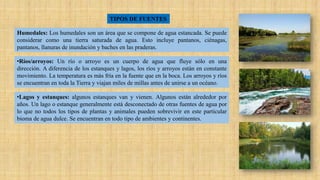 BIOMA DE AGUA DULCE.pdf