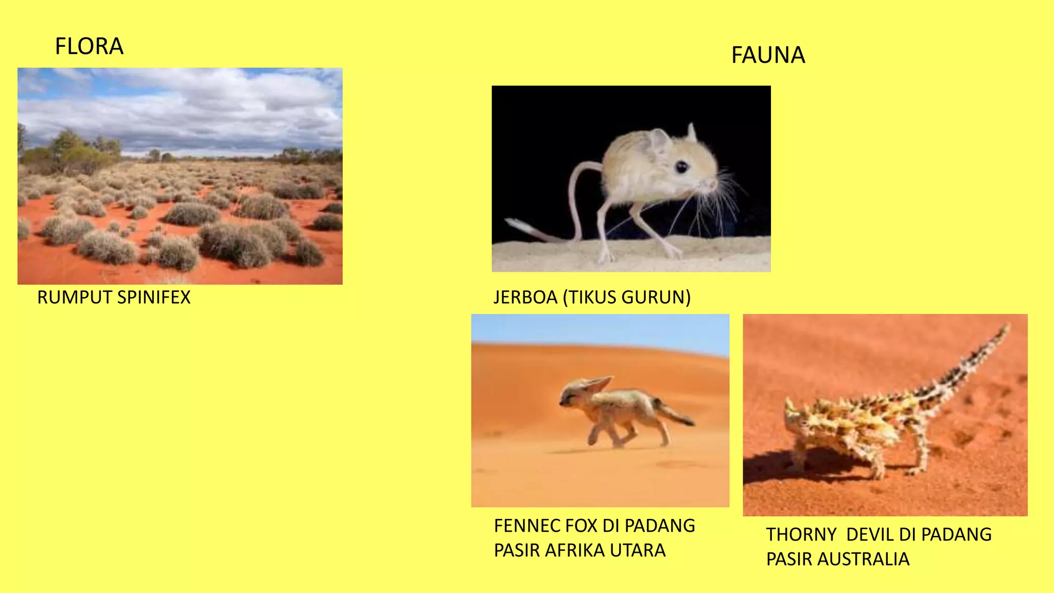 BIOMA DUNIA.pptx