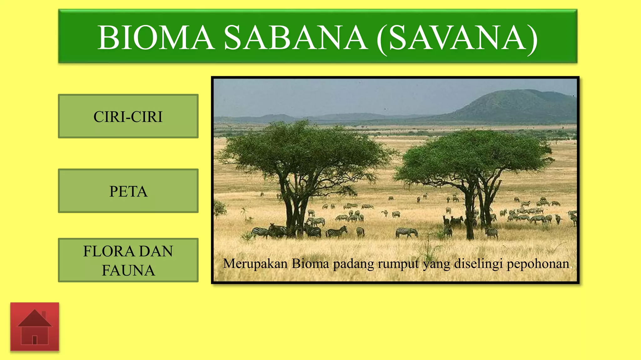 BIOMA DUNIA.pptx
