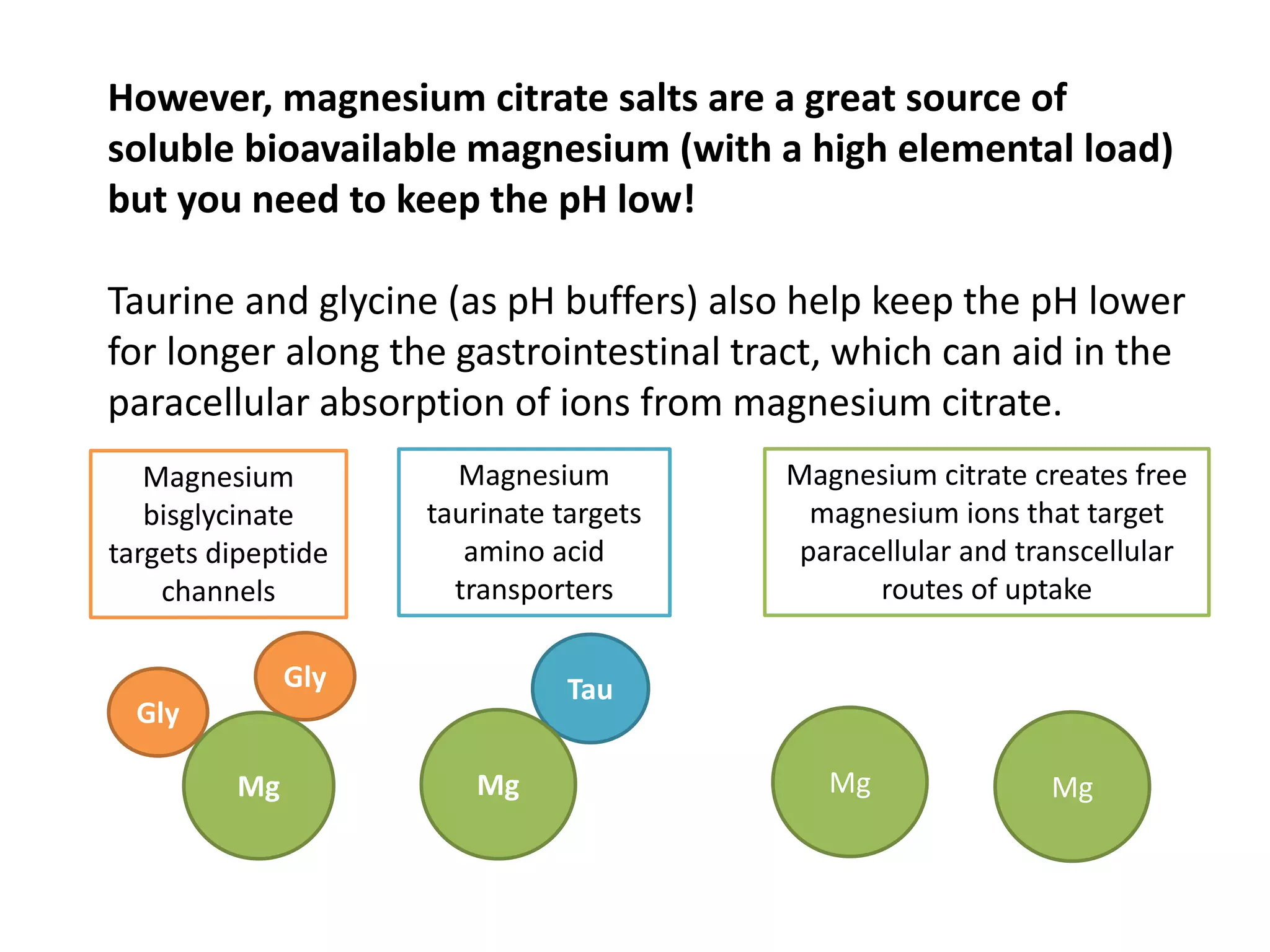 Bio mag new medicine .pdf
