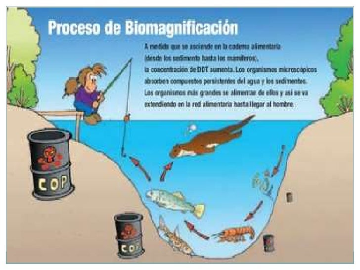 Biomagnifiacación