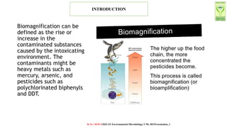 biomagnificance | PPTX
