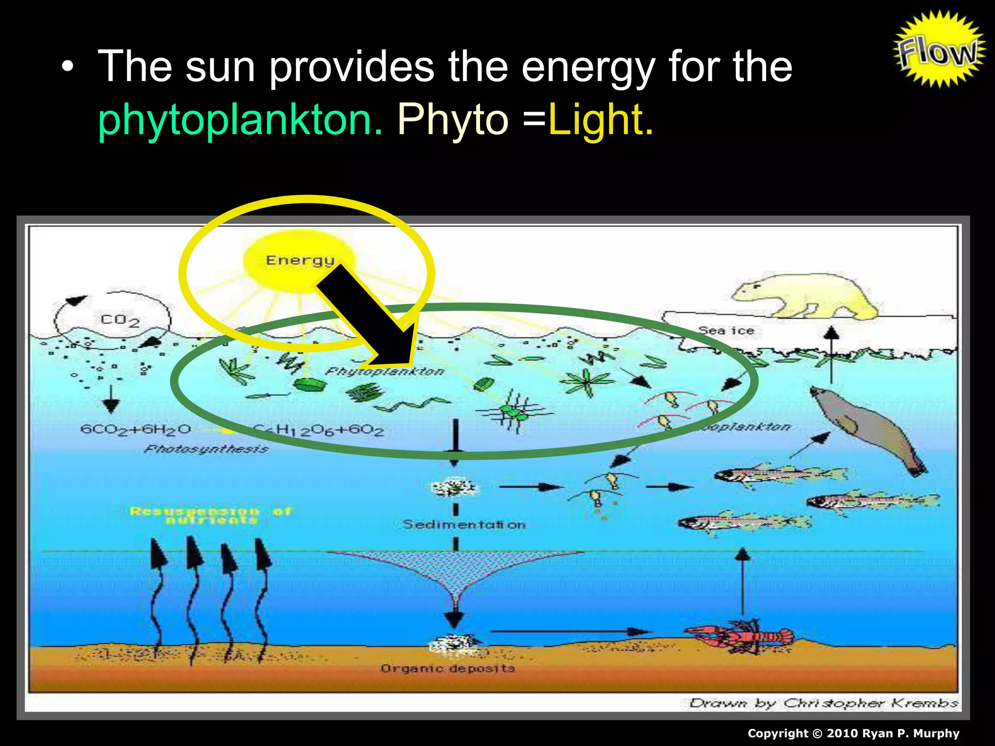 Biomagnification and Bioaccumulation Lesson PowerPoint, Food Chain ...