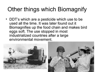 Biomagnification | PPT
