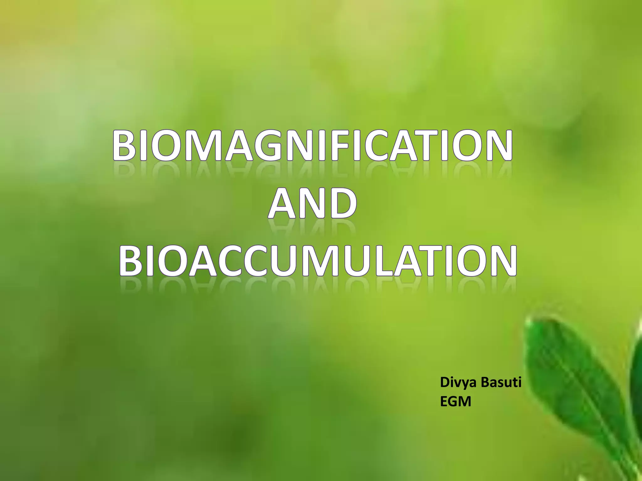 Bioaccumulation and Biomagnification | PPTX | Chemistry | Science