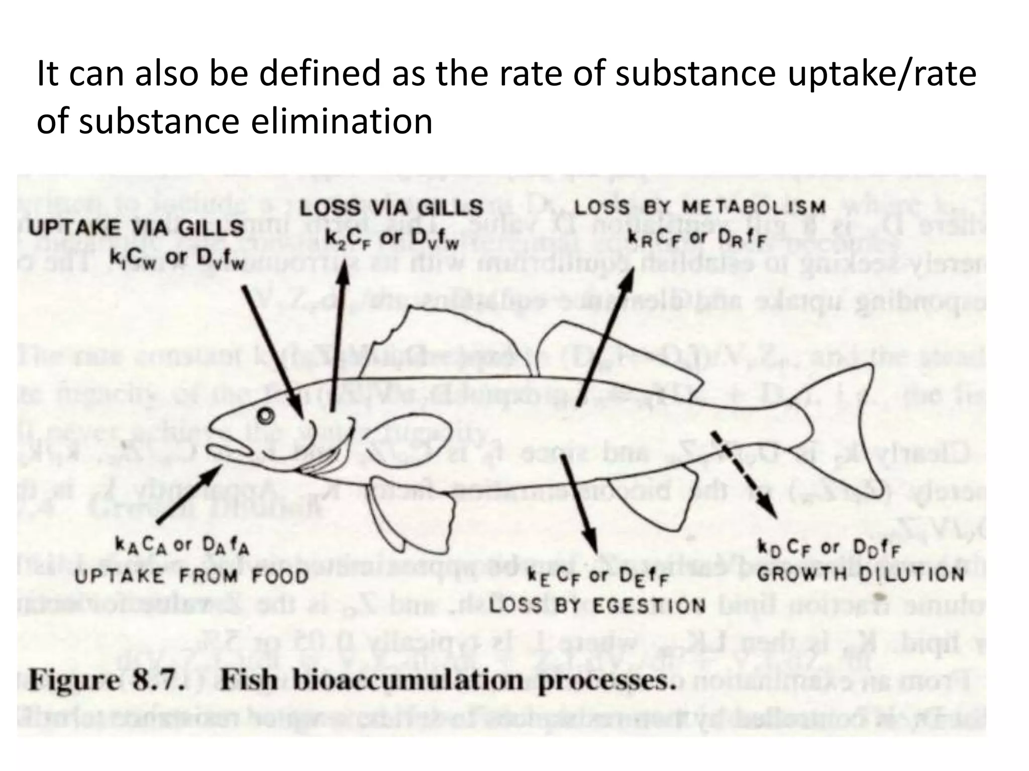Bioaccumulation and Biomagnification | PPTX | Chemistry | Science