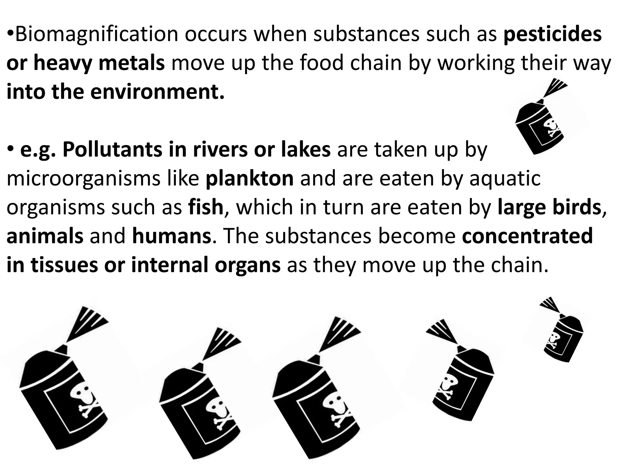 Bioaccumulation and Biomagnification | PPTX
