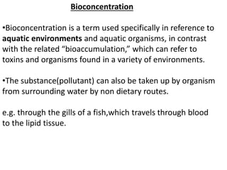 Bioaccumulation and Biomagnification | PPTX | Chemistry | Science
