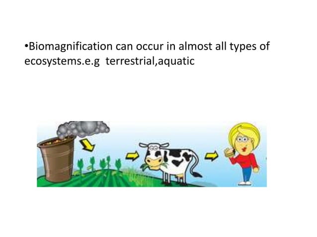 Bioaccumulation and Biomagnification | PPTX | Chemistry | Science