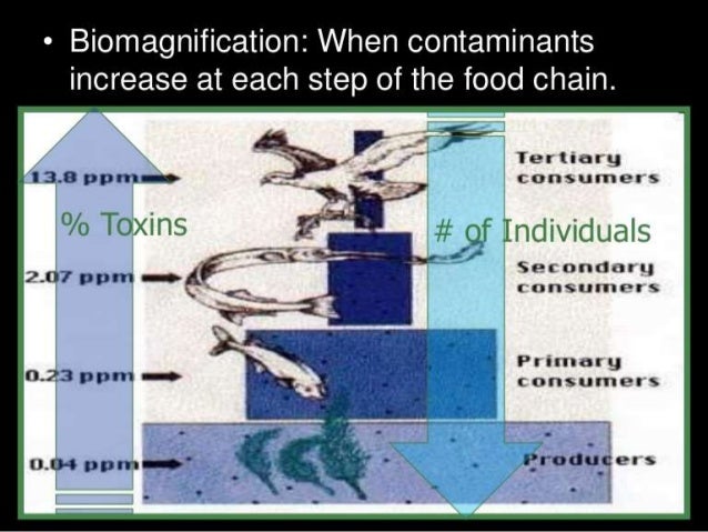 Bioaccumulation and Biomagnification