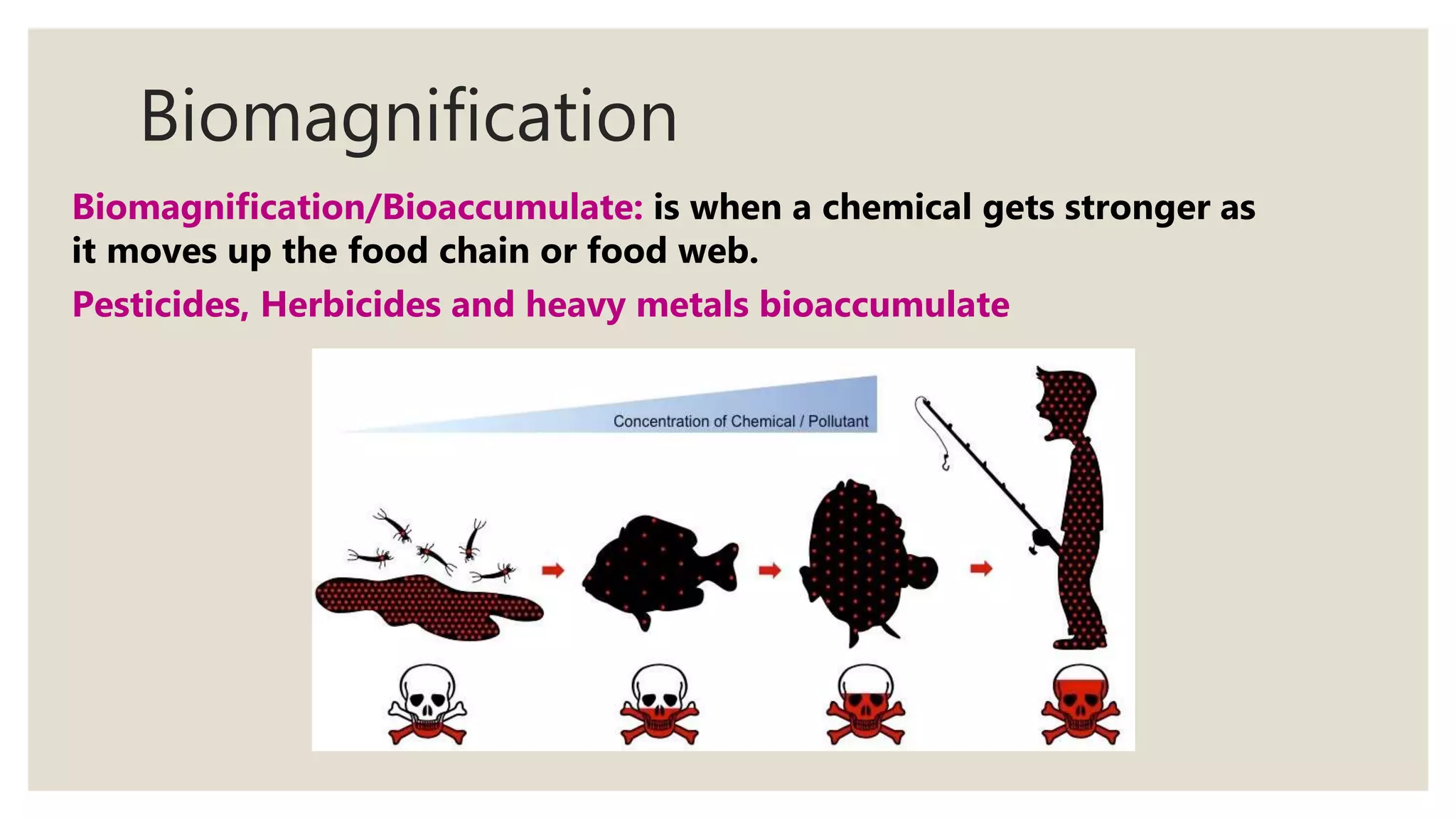 Biomagnification | PPTX
