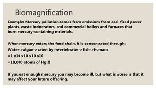 Biomagnification | PPTX