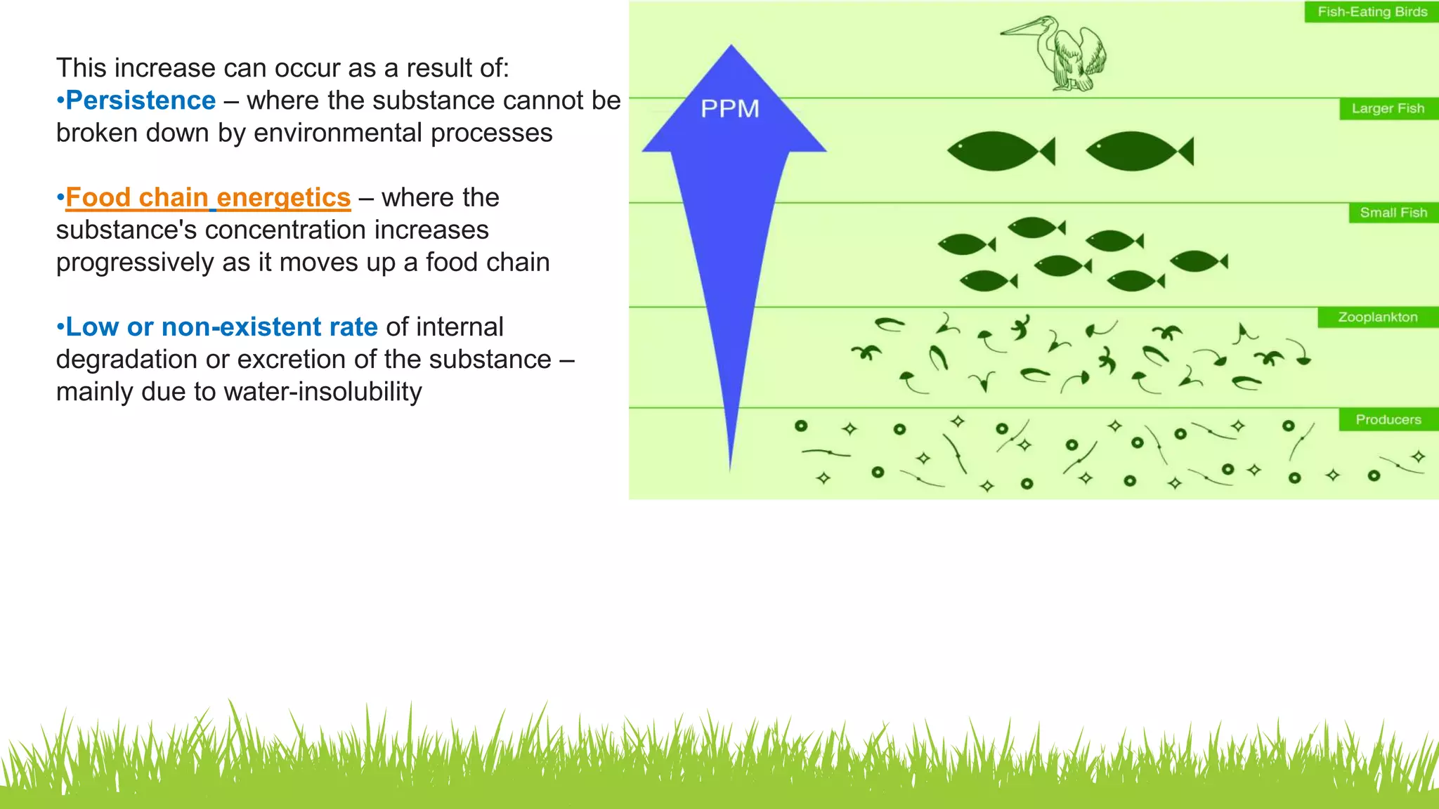 Biomagnification | PPTX