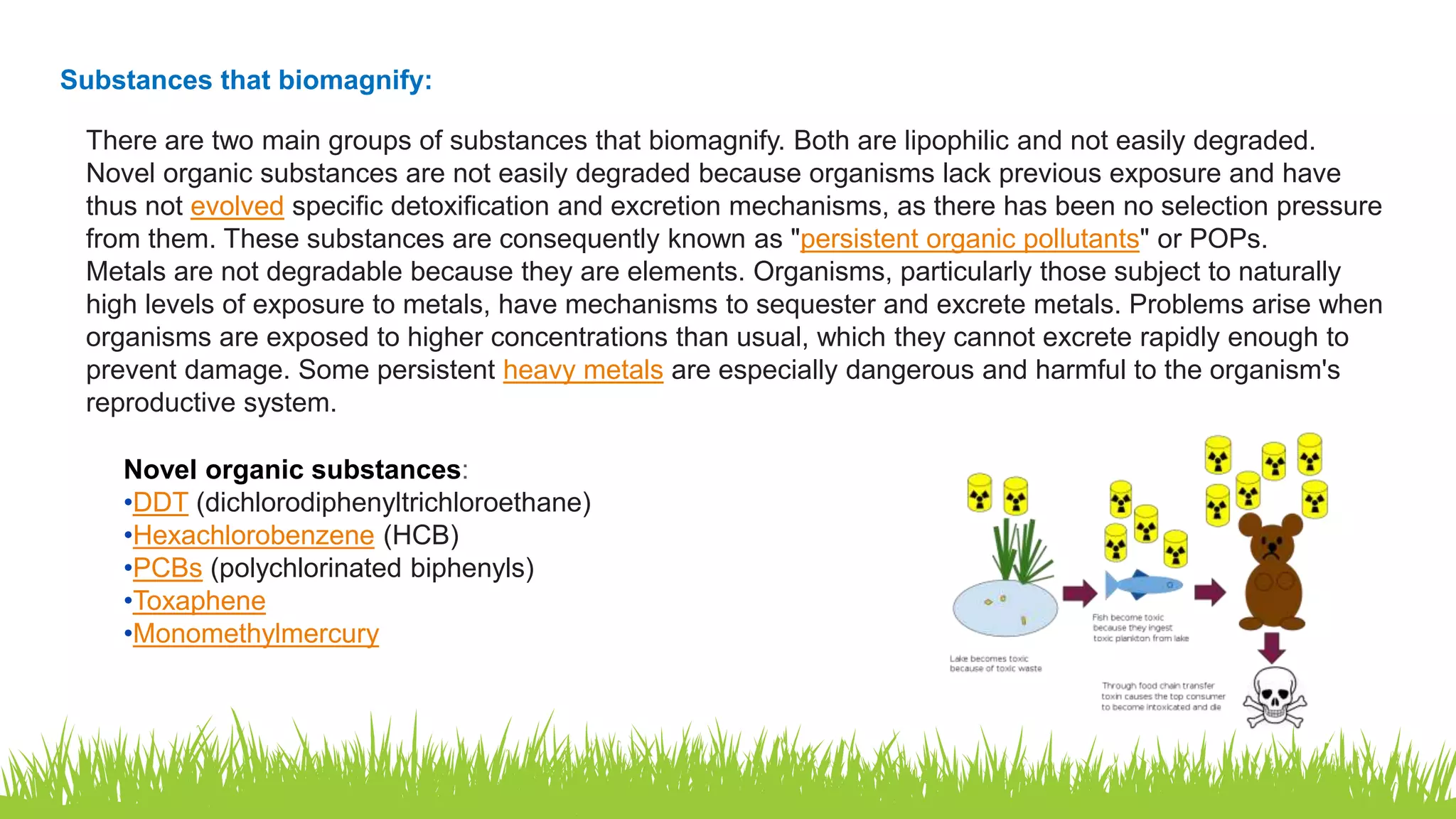 Biomagnification | PPTX