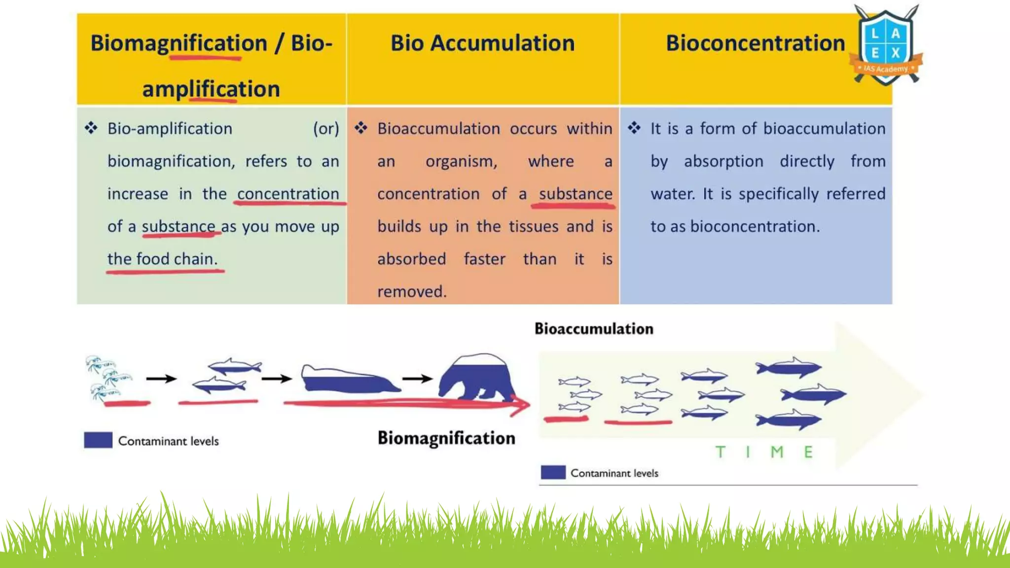Biomagnification | PPTX