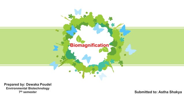 Biomagnification | PPTX | Chemistry | Science
