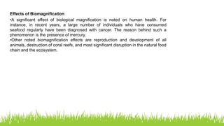 Biomagnification | PPTX