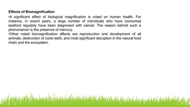 Biomagnification | PPTX | Chemistry | Science