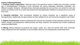 Biomagnification | PPTX