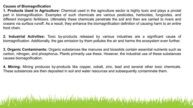 Biomagnification | PPTX | Chemistry | Science