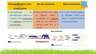 Biomagnification | PPTX