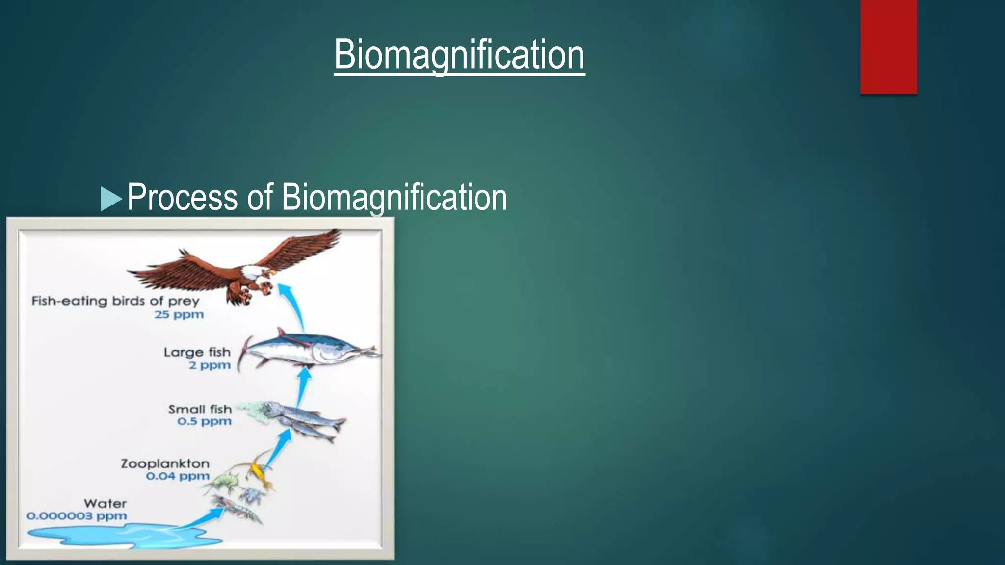 Biomagnification[1] | PPTX