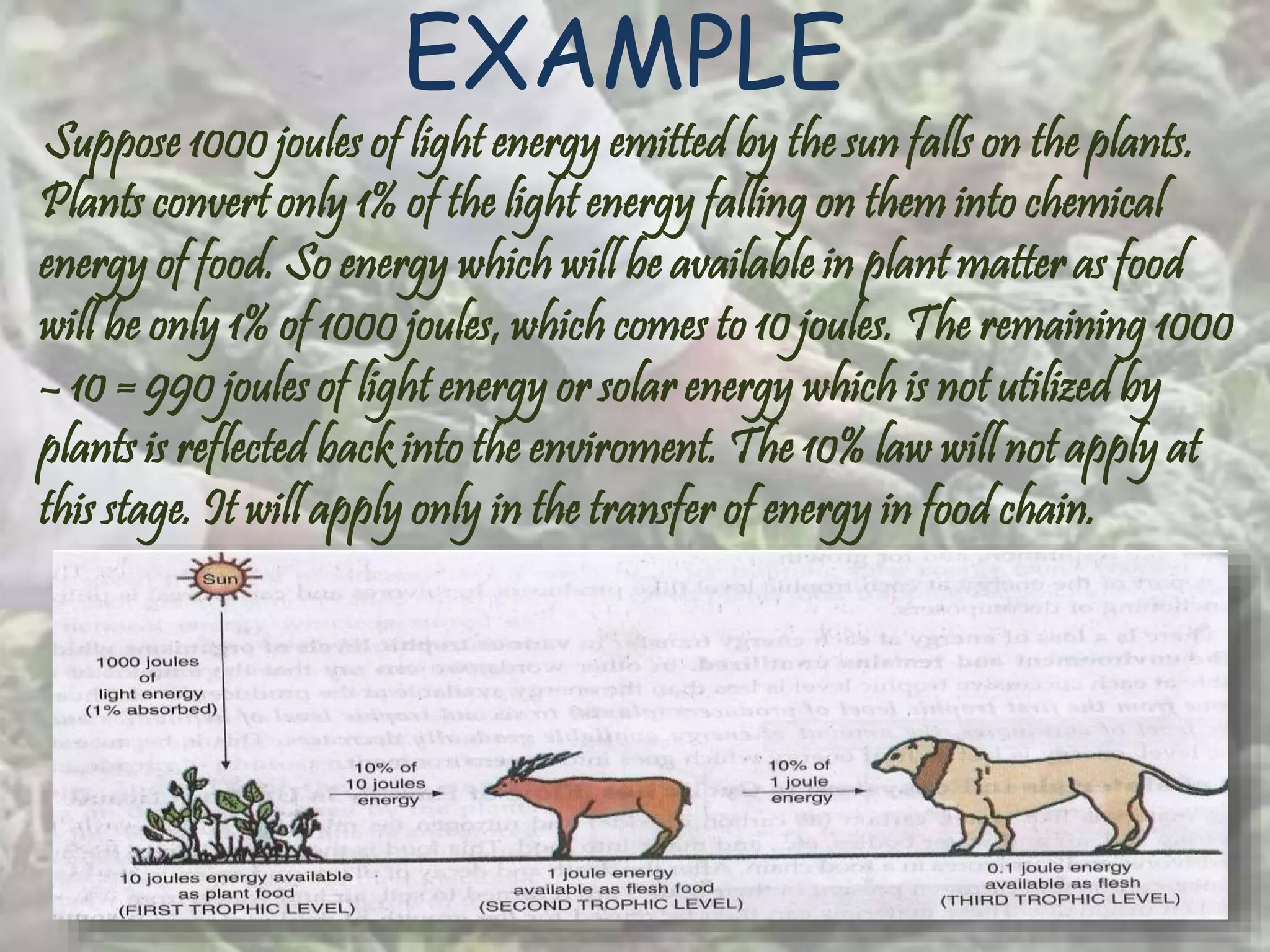 Biomagnification and 10% law | PPTX