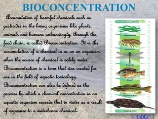 Biomagnification and 10% law | PPTX