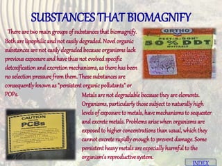 Biomagnification and 10% law | PPTX